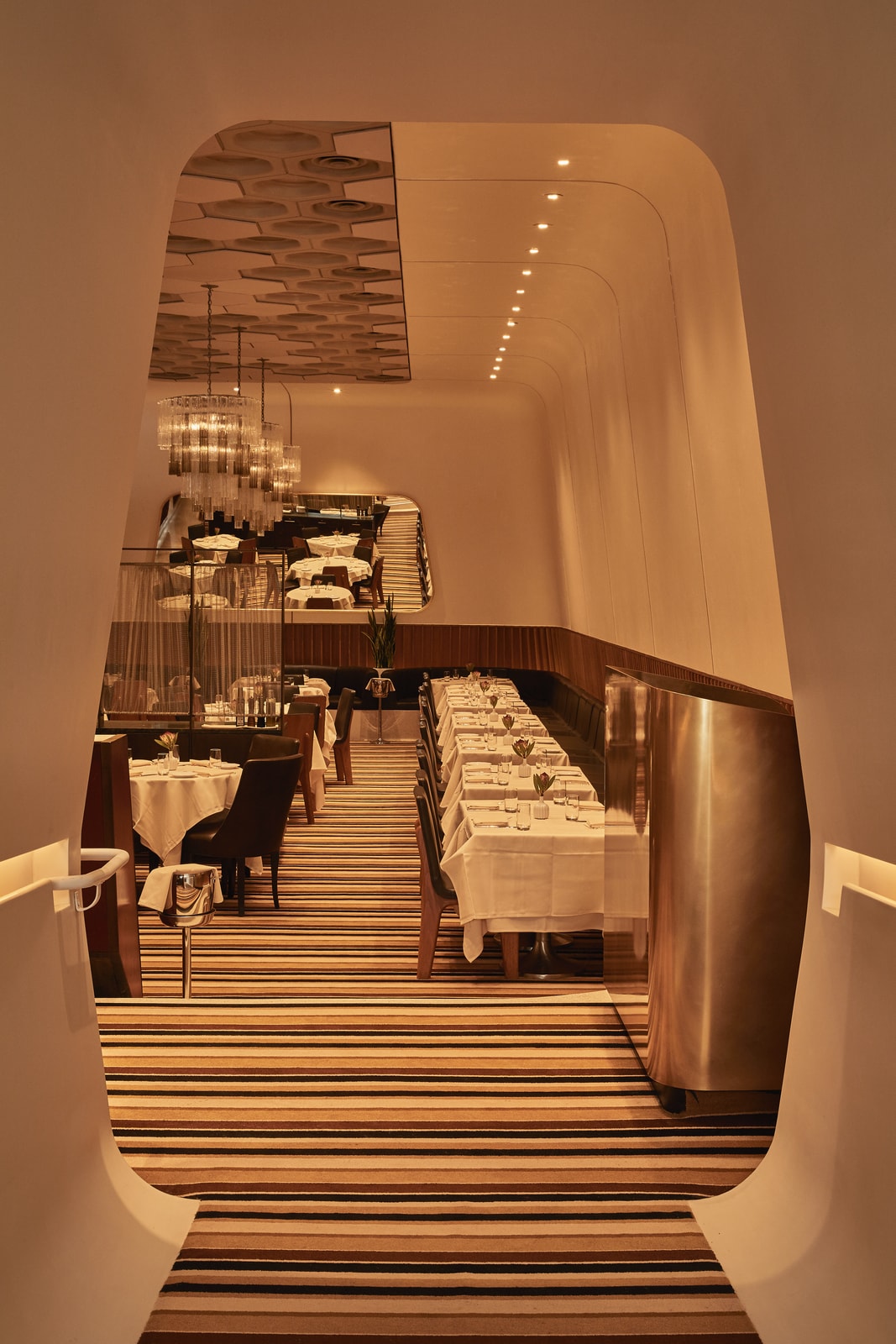 CASA LEVER - David Bucovy Architect, PLLC